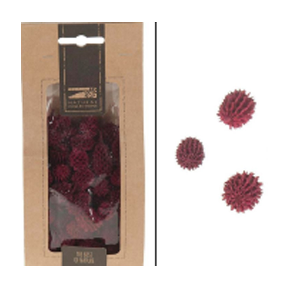 CASUARINA RED 100GR - Pergamos